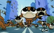 City of Nutsville/Gallery | Powerpuff Girls Wiki | Fandom