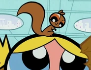 Stray Bullet/Gallery | Powerpuff Girls Wiki | Fandom