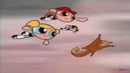 Fuzzy Logic/Gallery | Powerpuff Girls Wiki | Fandom