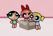 Stray Bullet/Gallery | Powerpuff Girls Wiki | Fandom