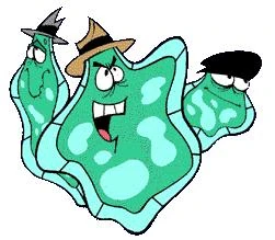 Amoeba Boys (1998 TV series) | Powerpuff Girls Wiki | Fandom