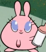 The Fluffy Bunch | Powerpuff Girls Wiki | Fandom