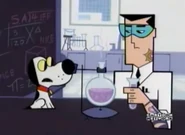 Talking Dog | Powerpuff Girls Wiki | Fandom