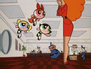 Sara Bellum (1998 TV series)/Gallery | Powerpuff Girls Wiki | Fandom
