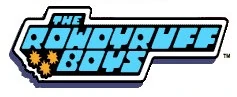 The Rowdyruff Boys (character) | Powerpuff Girls Wiki | Fandom