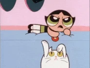Cat Man Do/Gallery | Powerpuff Girls Wiki | Fandom
