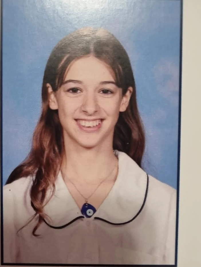 Silver Ruiaiger | Power Rangers Wiki | Fandom