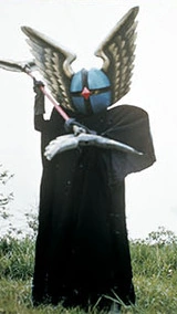 Wing Mask | RangerWiki | Fandom