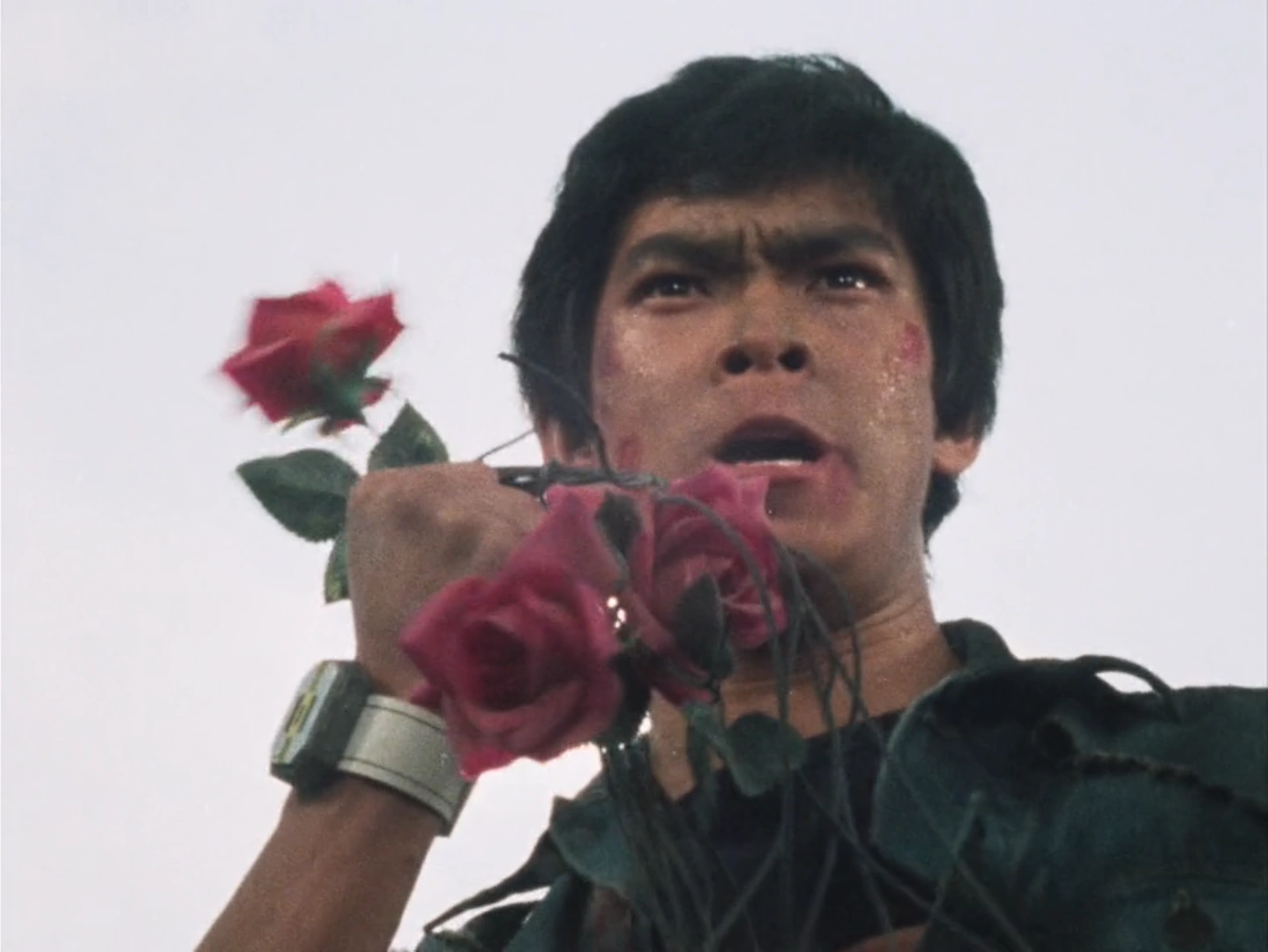 Ep. 19: The Fuse is a Red Toxic Flower | RangerWiki | Fandom