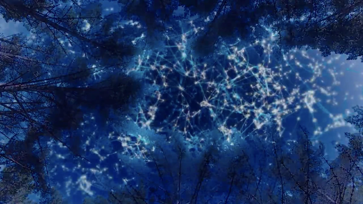 Morphin Grid | RangerWiki | Fandom