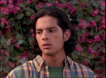 Carlos Vallerte/Robot | RangerWiki | Fandom