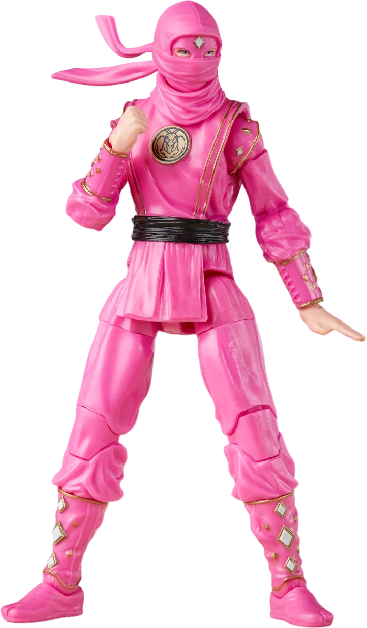 Category:PR Insect-themed Rangers | RangerWiki | Fandom