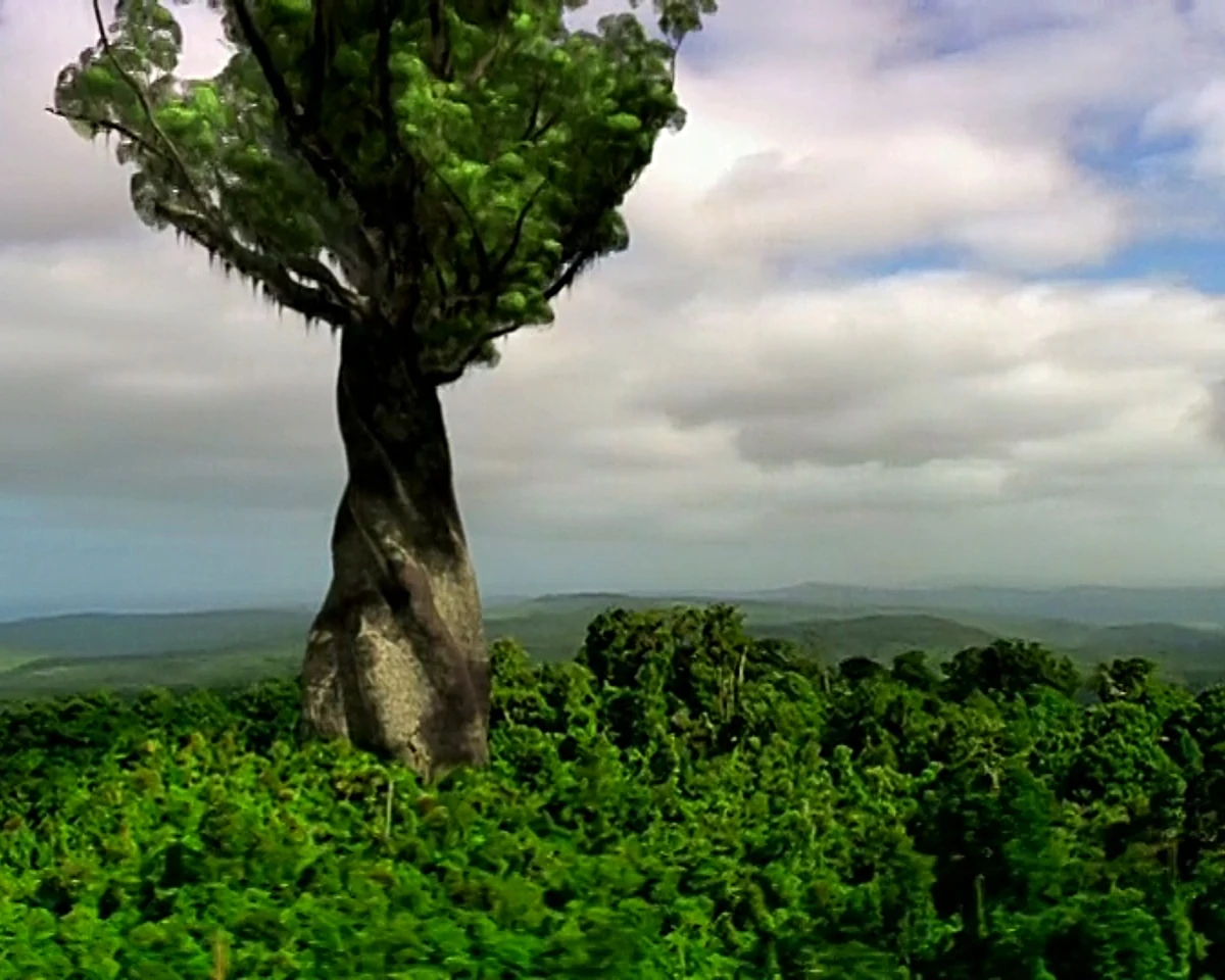 Root Core | RangerWiki | Fandom