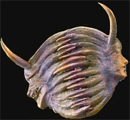 Mirror of Destruction | RangerWiki | Fandom