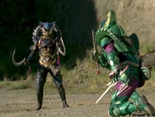 Naja | RangerWiki | Fandom