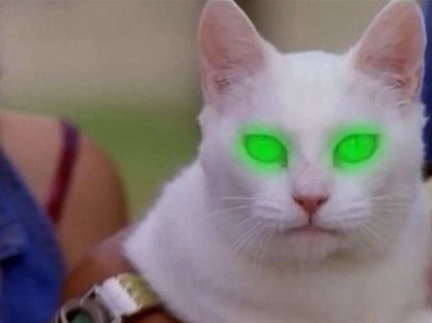 A Ranger Catastrophe | RangerWiki | Fandom