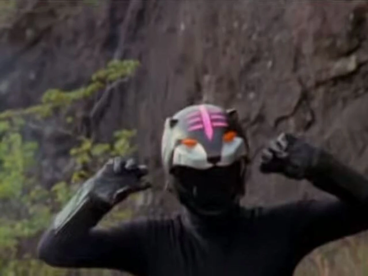 Tiger Shadow Ranger | RangerWiki | Fandom