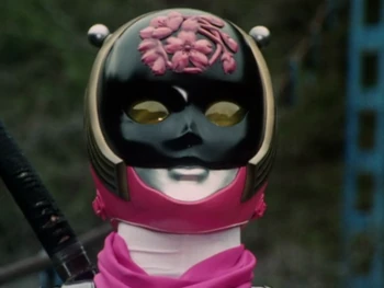 Flower Ninja Sakura | RangerWiki | Fandom