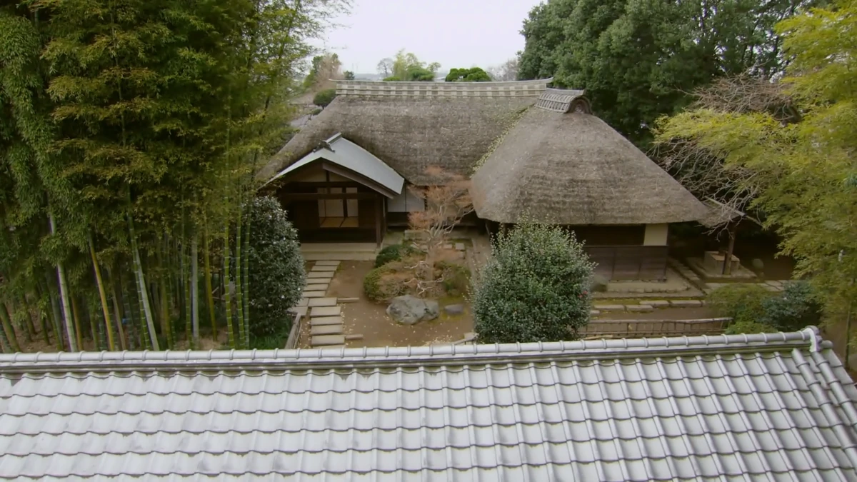 Igasaki Ninjutsu Dojo | RangerWiki | Fandom