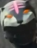 Shade Rangers | RangerWiki | Fandom