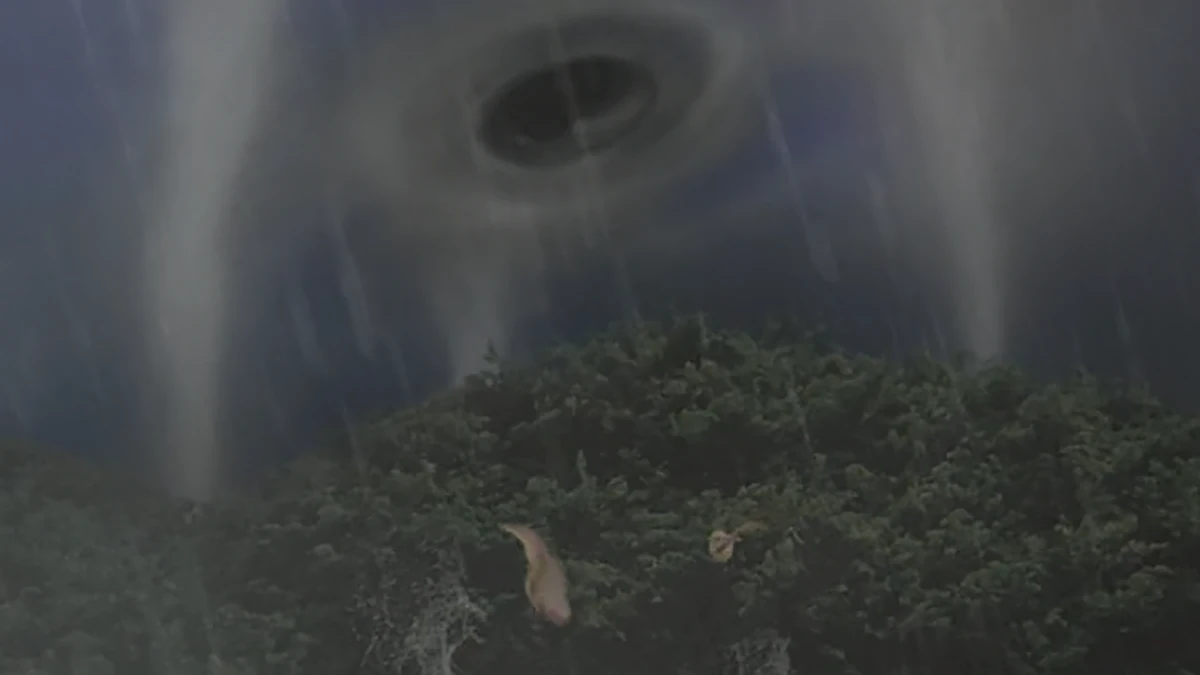 Stormy World | RangerWiki | Fandom