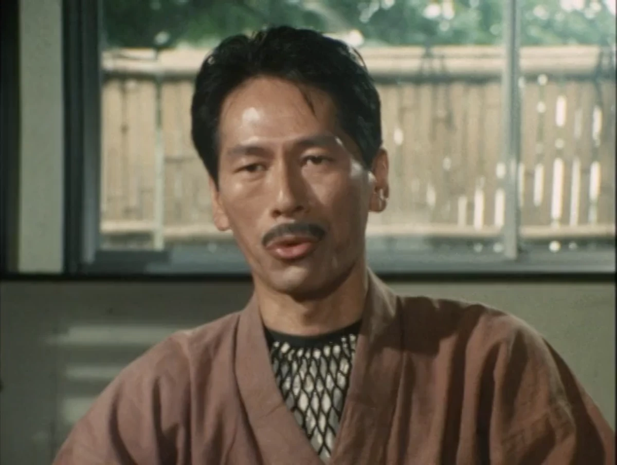 Kasumi Daigoro | RangerWiki | Fandom