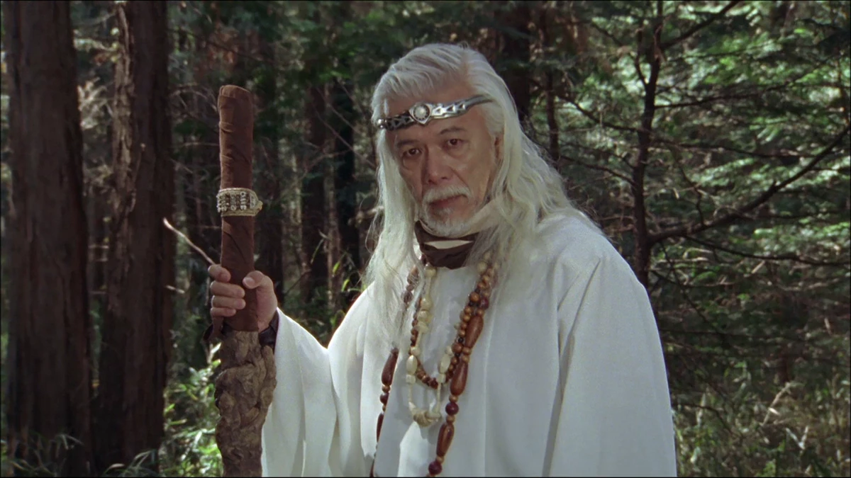 Magi | RangerWiki | Fandom