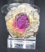 Power Coins (2017 movie) | RangerWiki | Fandom