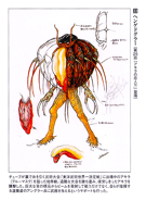 Henge Doggler | RangerWiki | Fandom