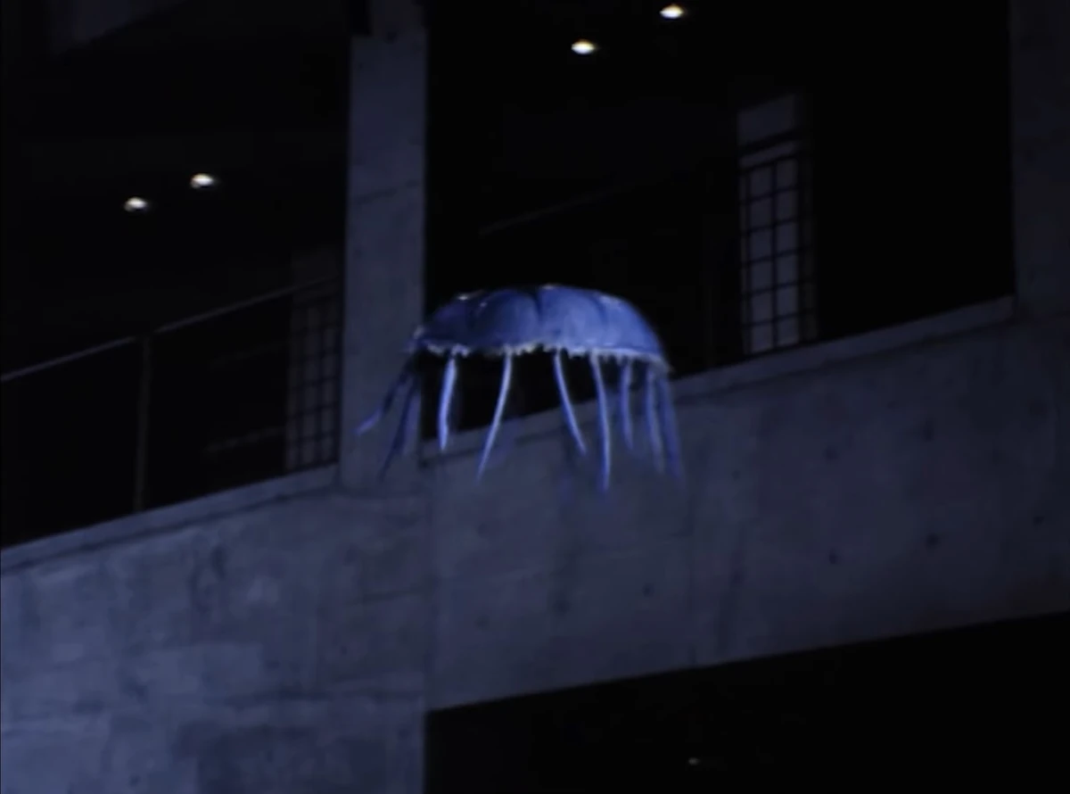 Chillyfish | RangerWiki | Fandom