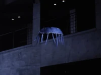 Chillyfish | RangerWiki | Fandom