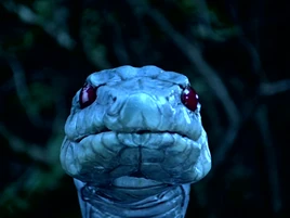 Hades Wise Goddess Gorgon | RangerWiki | Fandom