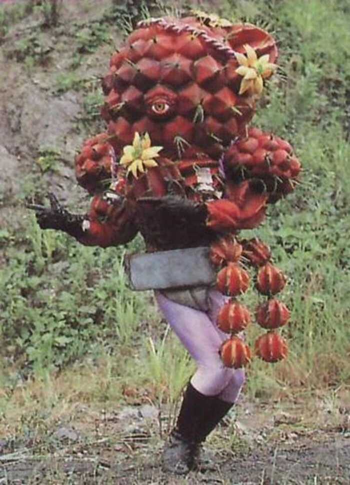 Fleur de Cactus | Wiki Power Rangers | Fandom