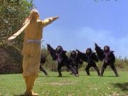 Aisha Campbell | RangerWiki | Fandom