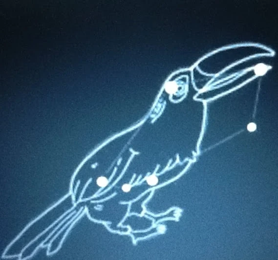 Constellation Tucana