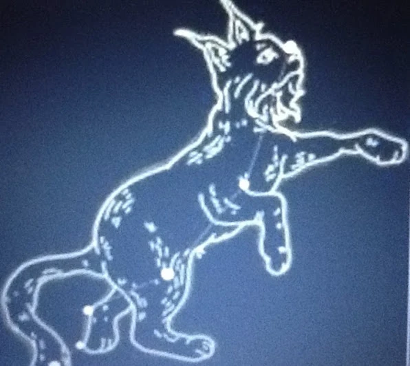 Lynx System | Power Rangers Fanon Wiki | Fandom