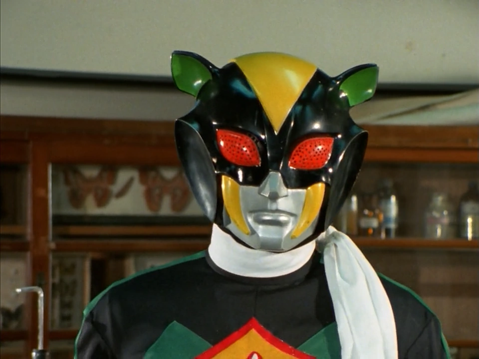 Black Cat | Power Rangers Fanon Wiki | Fandom