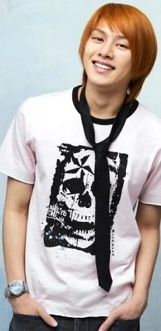 Category:Platinum Ranger | Power Rangers Fanon Wiki | Fandom