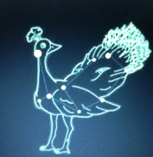 Pavo Constellation