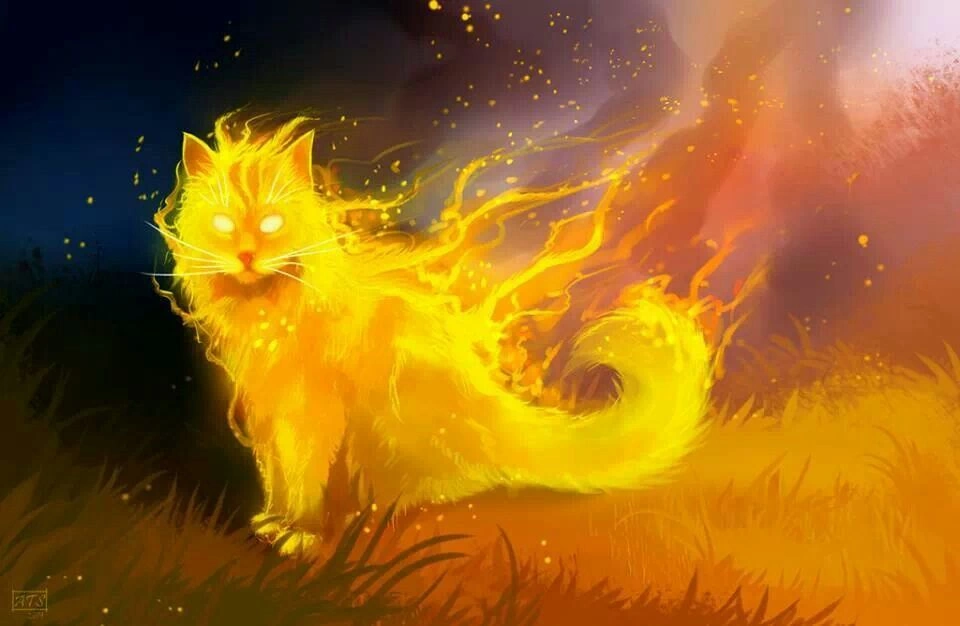 Golden Dust Cat | Power Rangers Fanon Wiki | Fandom
