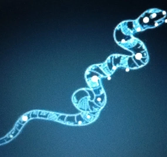 Hydra System | Power Rangers Fanon Wiki | Fandom