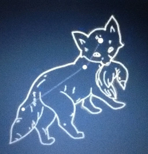 Vulpecula Constellation