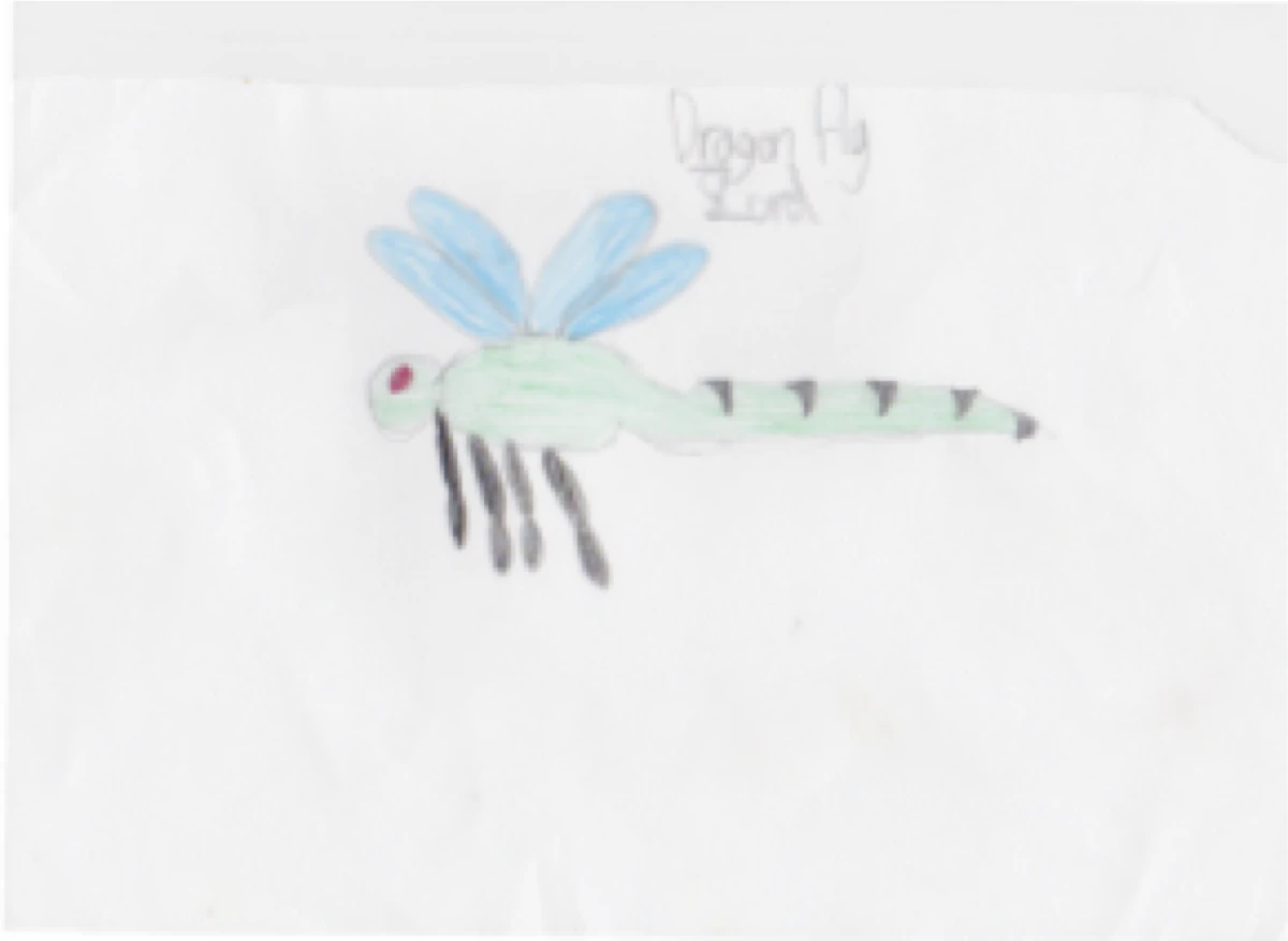 Dragonfly zord | Power Rangers Fanon Wiki | Fandom