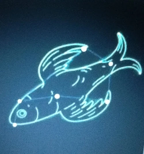 Volans Constellation