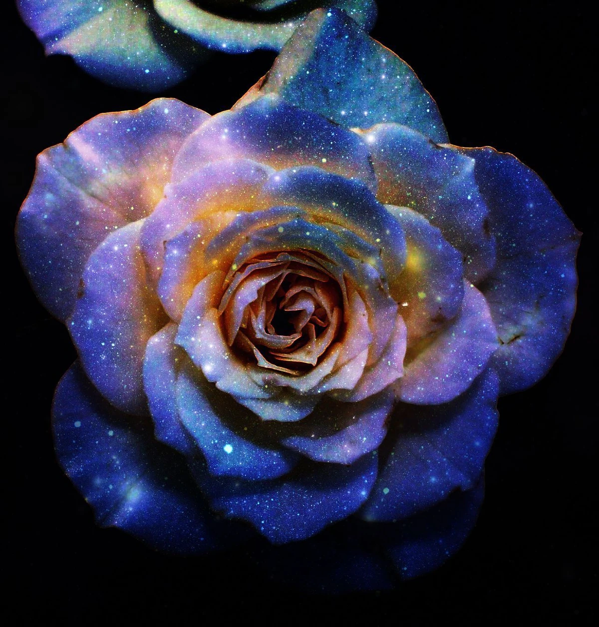 Space Case 33: Narcis' Flower | Power Rangers Fanon Wiki | Fandom