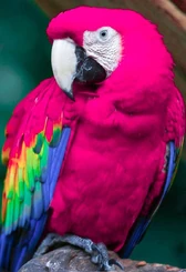 Abby | Power Rangers Fanon Wiki | Fandom