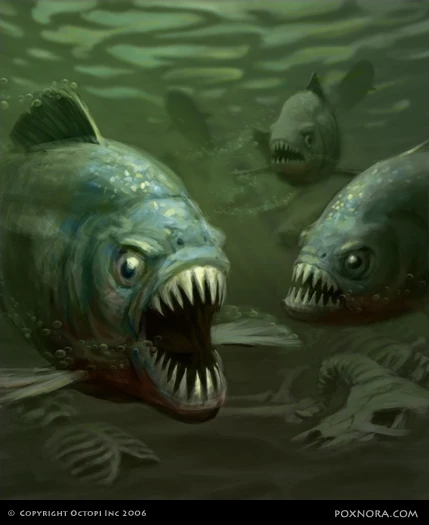 Feeding Frenzy | PoxNora Guide Wiki | Fandom