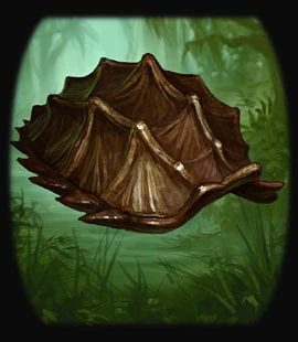 Turtle Shell | PoxNora Guide Wiki | Fandom