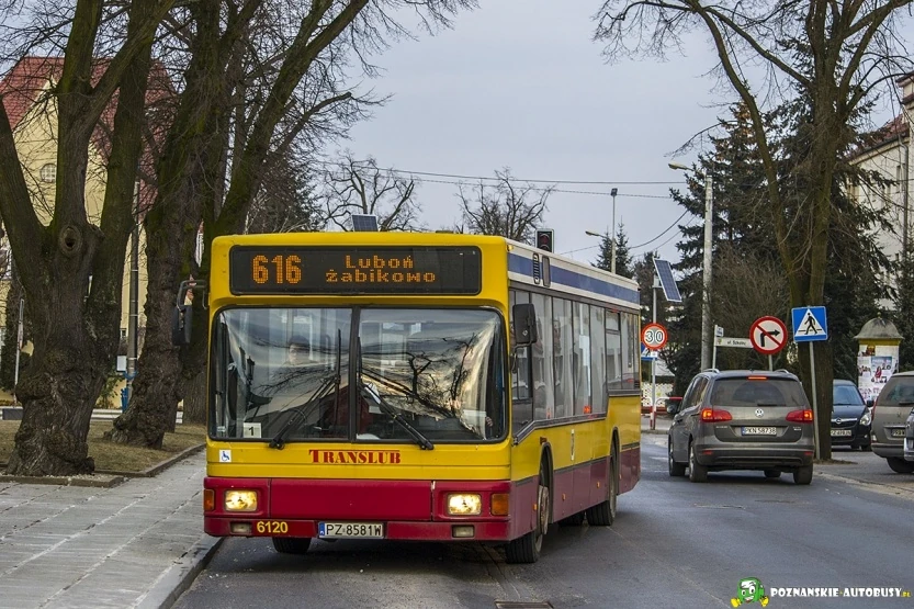 Linia autobusowa nr 616 | Poznańska Wiki | Fandom