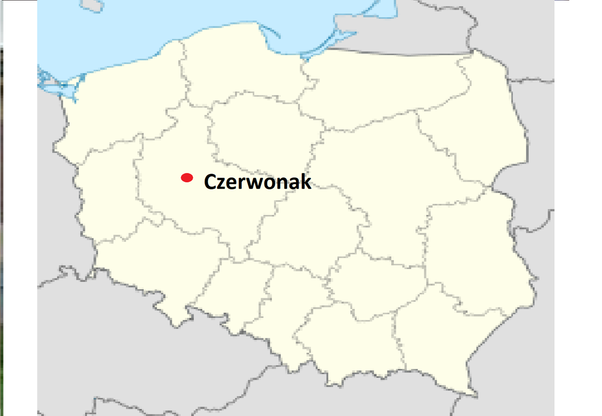 Czerwonak | Poznańska Wiki | Fandom